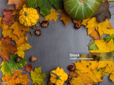 화려한 단풍 나무 잎과 호박 옥수수 체스 너트 복사 공간이가있는 가을 수확의 프레임과 가을 배경 계절 별 행사 및 홀리데이 엽서 모형 0명에 대한 스톡 사진 및 기타 이미지