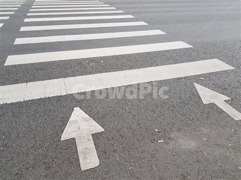 서울 횡단보도 4차선도로 차도 우측통행 사진이미지일러스트캘리그라피 Qrazy작가