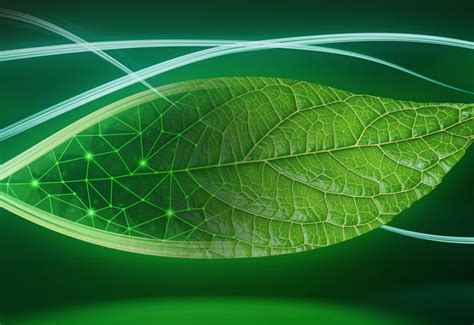 Infineon To Highlight Sustainability At Ces Iot M2m Council