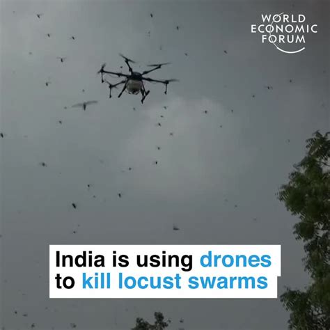 Video Sravanthi Derangula Posted On Linkedin