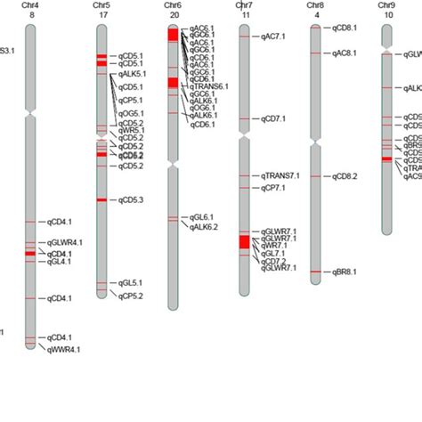 Comparison Of Predictive Accuracy Of Different Gs Models For Different