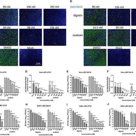functional characterization of the genes ranked by generank algorithm