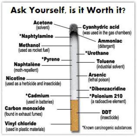Components Of Cigarette Smoke At Courtney Russell Blog