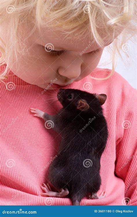 Baby With Rat Stock Photo Image Of Babe Expressions 3601180