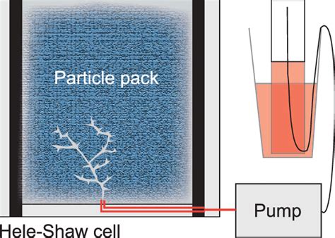 The Experimental Set Up To Explore Interaction Of Gas With A Particle Download Scientific