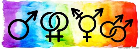 breaking through the binary exploring gender and sexuality