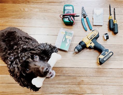 How To Install A Dimmer Switch Nestrs