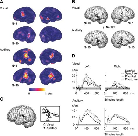 Spatiotemporal Convergence Of Semantic Processing In Reading And Speech Perception Journal Of
