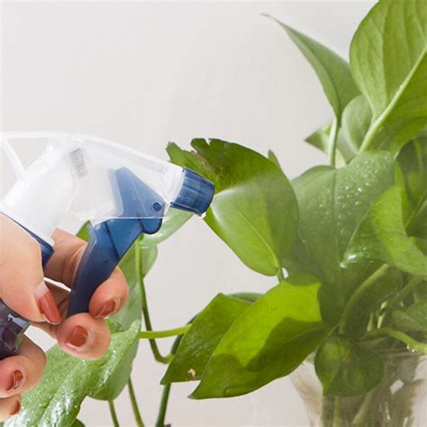 พืชกระถางรดน้ำขวดสเปรย์mistสวนเครื่องพ่นสารเคมีเครื่องฉีดน้ำรดดอกไม้กาต้มน้ำ Moscow Six Thaipick