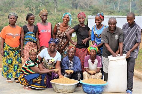 Aml Operation Promotes Local Content That Impacts Smes Hot Pepper Liberia