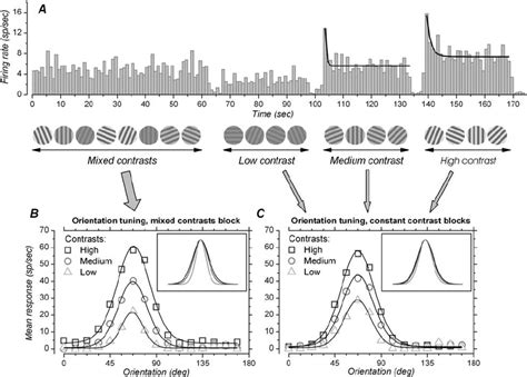 Protocol And Orientation Tuning With Different Contrasts With And Download Scientific Diagram