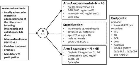 Nal Iri With 5 Fluorouracil 5 Fu And Leucovorin Or Gemcitabine Plus