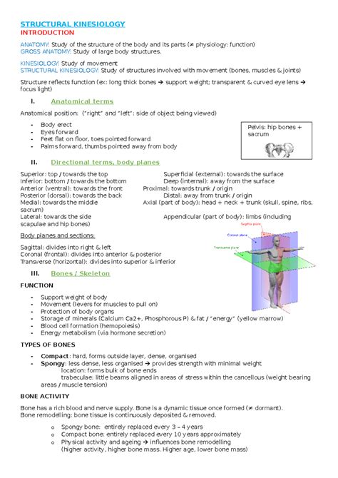 Structural Kinesiology Everything You Need To Know For Exams STRUCTURAL KINESIOLOGY