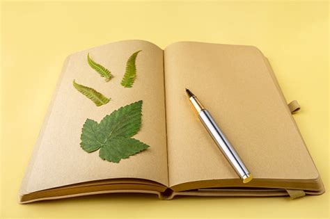 빈 오픈 빈티지 일기 다양한 압착 건조 식물과 펜의 허브와 노트북 쓰기 소원 목표 계획 활동 야생 꽃 허브의 식물 세트 0명에