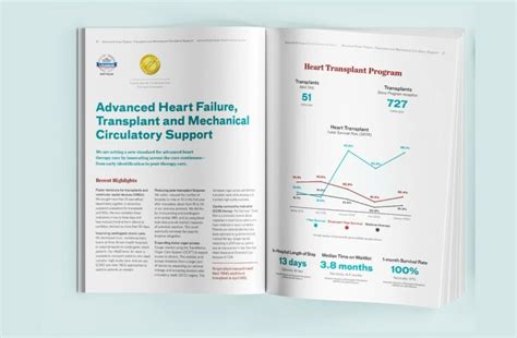 What Is Hierarchy In Typography Shack Design