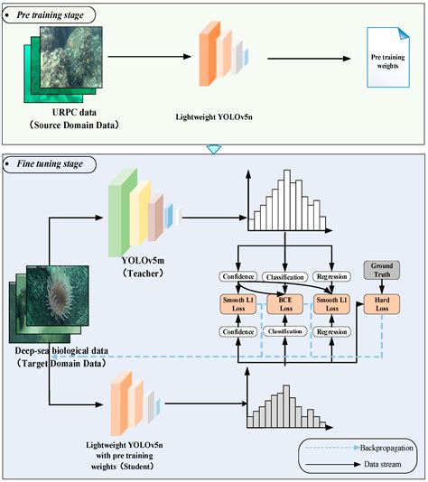 Deep Sea Biological Detection Method Based On Lightweight Yolov5n