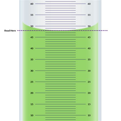 Bio Lab Midterm Flashcards Quizlet Bio Lab Midterm Flashcards Quizlet
