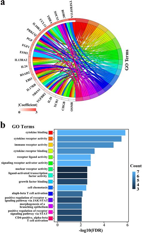 A Robust Immune Related Gene Pairs Signature For Predicting The Overall