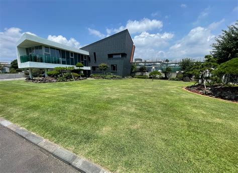 잔디조경관리 제주 주택 관리 법인 프레임