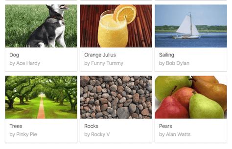 The Best Wordpress Custom Application Plugin In 2025