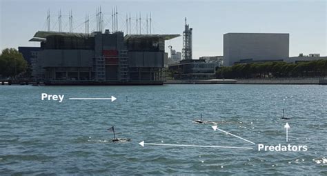 6 photo of the real robot experiments at parque das nações lisbon