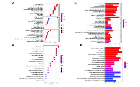 Gene Set Enrichment Analysis Of Pathways And Biological Functions Download Scientific Diagram