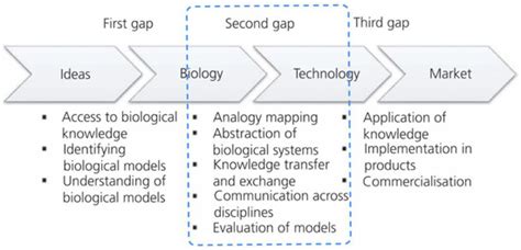 Designs Special Issue Advances In Biologically Inspired Design