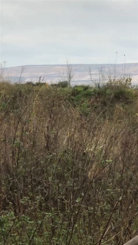 Describing Unity Ashtray Unfinished Original Song Rfolkpunk