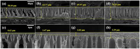 Membrane Separation Technology Research