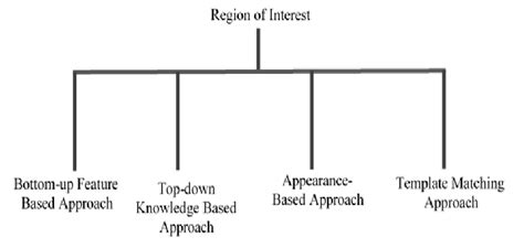 Methods Of Region Of Interest Roi Extraction Download Scientific Diagram