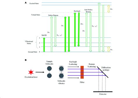 Raman Spectroscopy Basics At Carlos Bell Blog