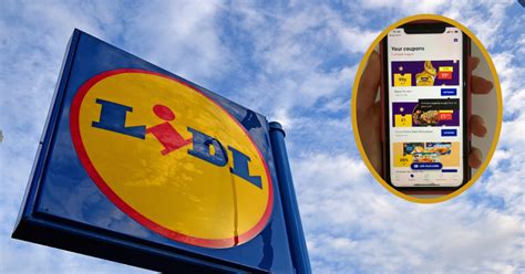 Babe Known Hack Lidl Shoppers Need To Take Advantage Of Our Generation