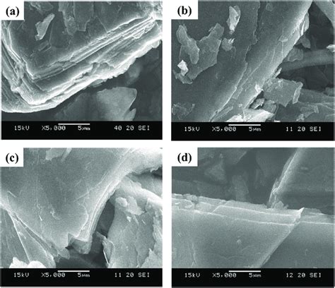 Sem Micrograph Analysis Of Different Phases Of Purification Effect Of Download Scientific