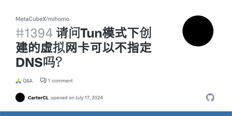 请问tun模式下创建的虚拟网卡可以不指定dns吗？ · metacubex mihomo · discussion 1394 · github