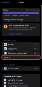 How To Add More Storage To IPhone With Without Paying