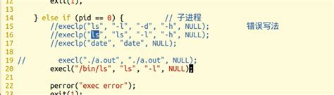 exec函数族 csdn博客