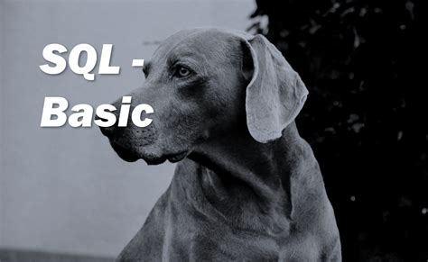 Zerobase 데이터 취업 스쿨 Sql 기초 3