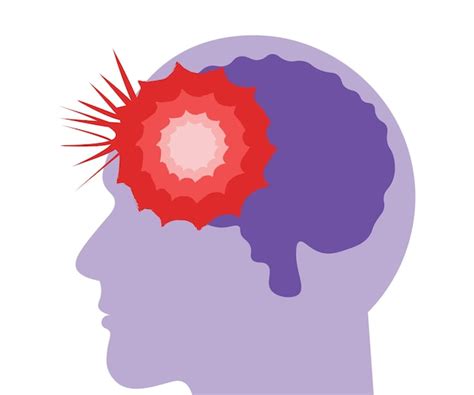 Premium Vector Stroke