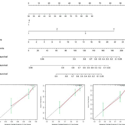 Nomogram Survival Model A The Nomogram Consists Of Age Grade