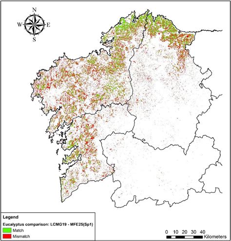 Graphical Representation Of The Spatial Comparison Of The Eucalyptus