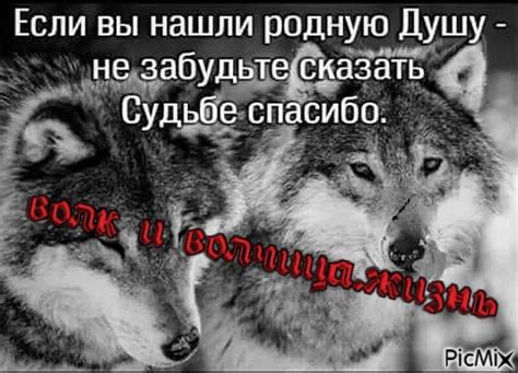 ваив - Free PNG - PicMix