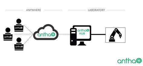 Augmenting Lab Efficiency With Automation RegMedNet