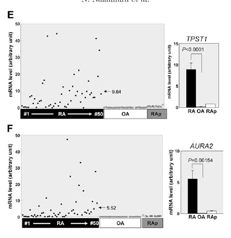 Figure 1 From Isolation And Expression Profiling Of Genes Upregulated In Bone Marrow Derived