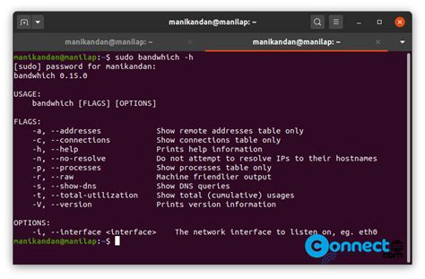 How To Install Bandwhich Commandline Bandwidth Utilization Tool On Ubuntu