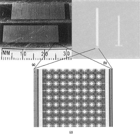 device top views a two 64 element 1 d cmut arrays b one isolated
