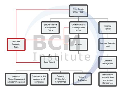 Cir Pm Cyber Security Team Structure