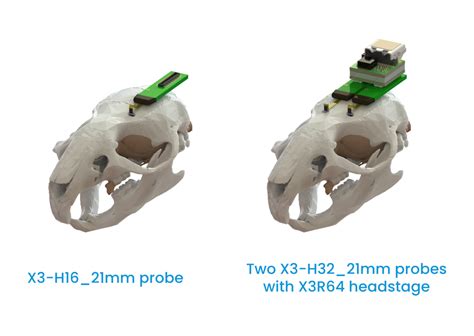 New Connector Package X Series NeuroNexus
