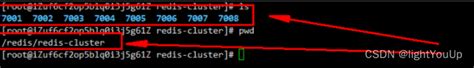 redis cluster集群搭建 redis cluster集群搭建 csdn博客