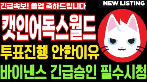 캣인어독스월드코인 Mew 긴급속보 투표진행 안한이유 바이낸스 긴급승인 졸업축하드립니다 필수시청 코미녀 Youtube