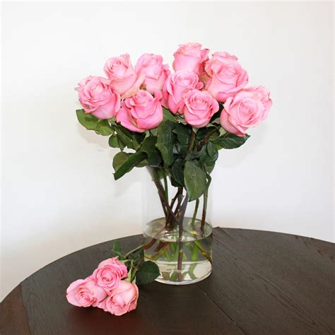 Rosa Rose Hermosa Bestellen Im Rosenshop Lieblingsrosen